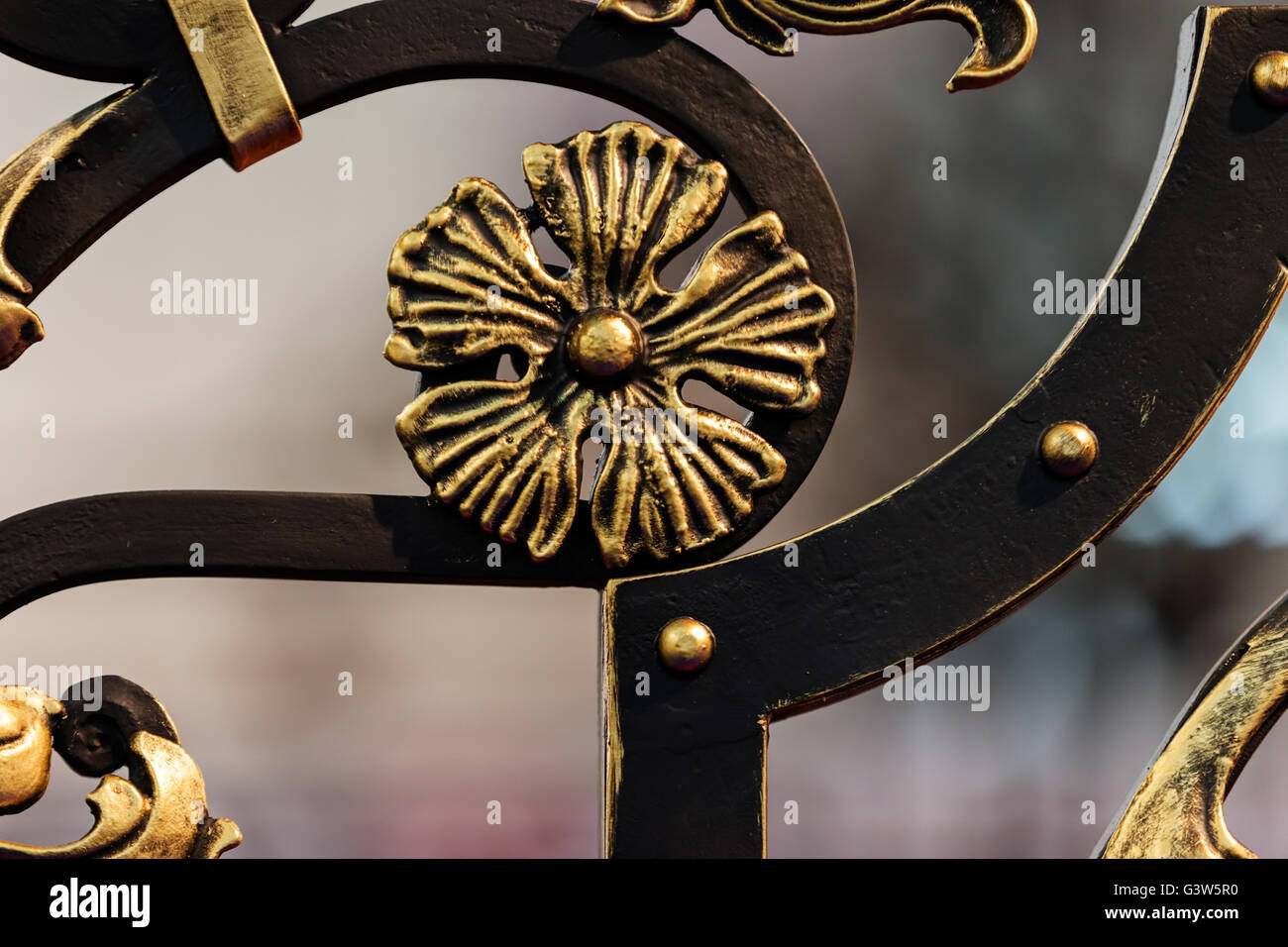 details of structure and ornaments of wrought iron fence and gate Stock ...