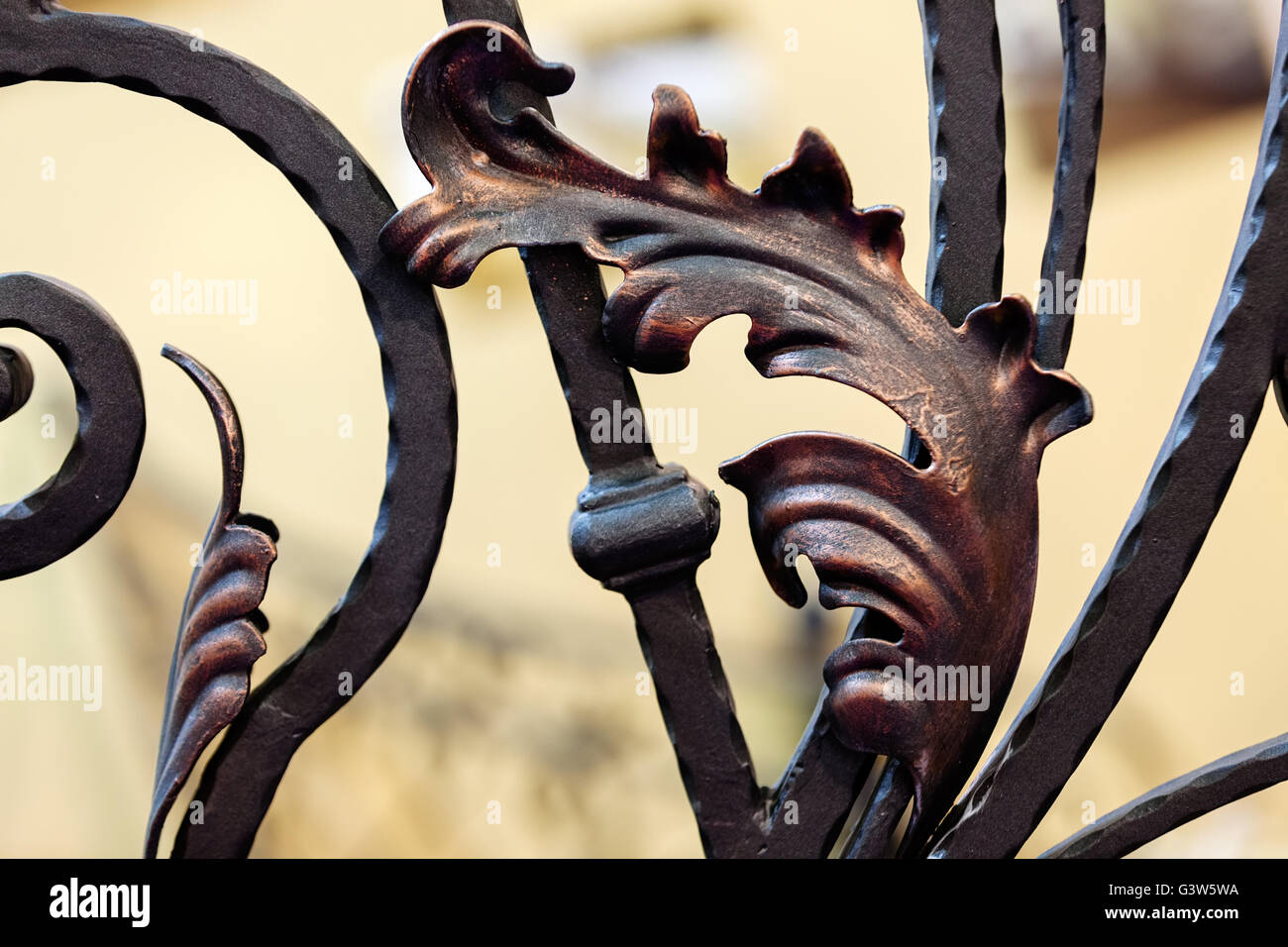 details of structure and ornaments of wrought iron fence and gate Stock ...