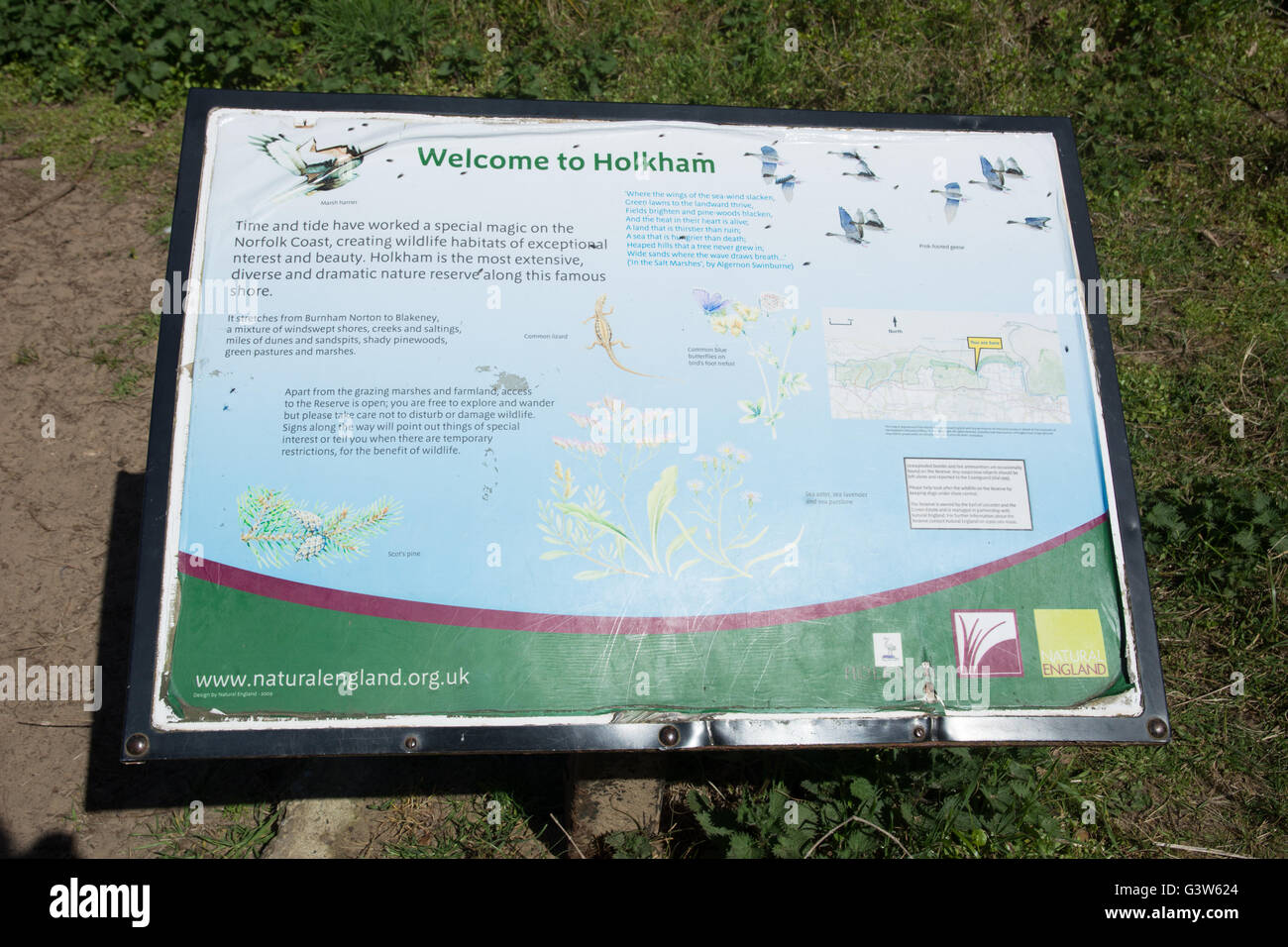 Hall map hi-res stock photography and images - Alamy