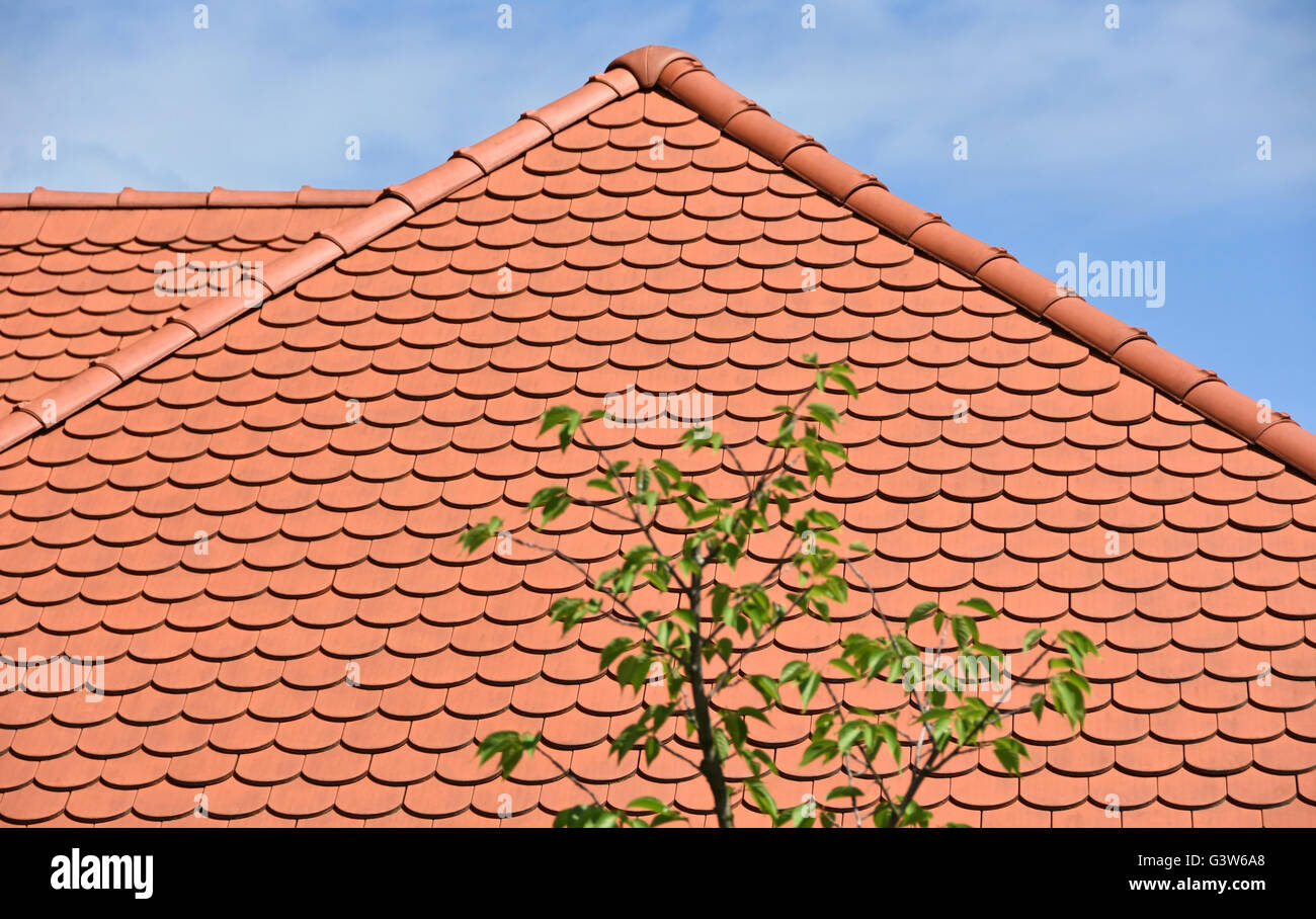 Roof tiles and tree branches Stock Photo - Alamy