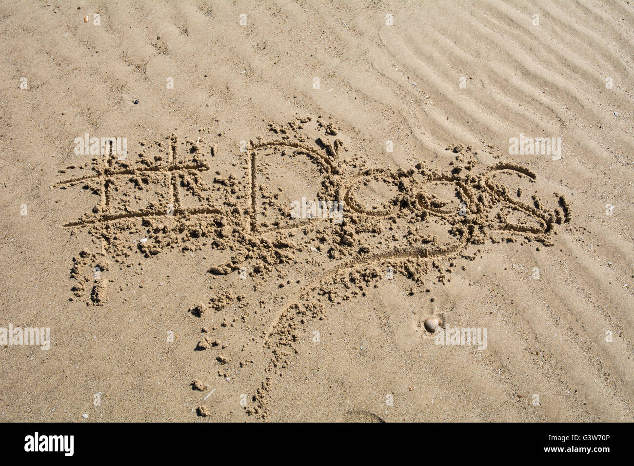 #dogs written in sand Stock Photo - Alamy