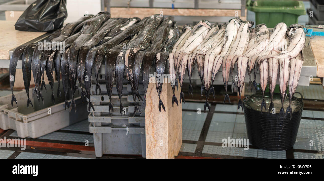 swordfish on the market in Funchal on Madeira island Stock Photo - Alamy