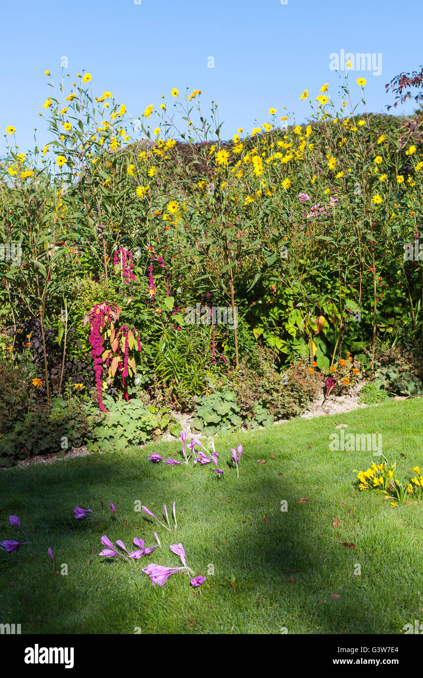 Shadows in the garden Stock Photo - Alamy