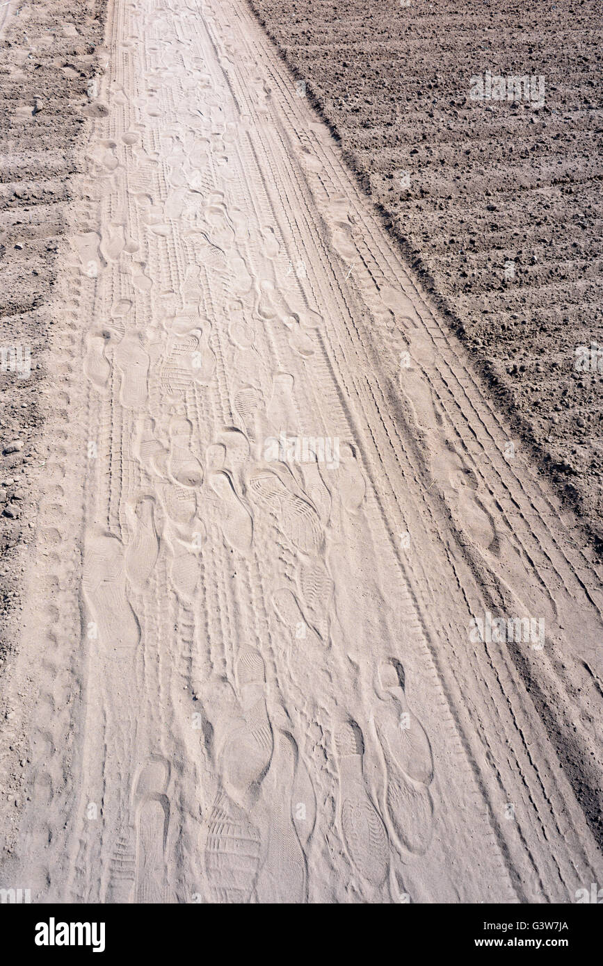 Assorted footprints in dust in a diagonal composition with copy space ...