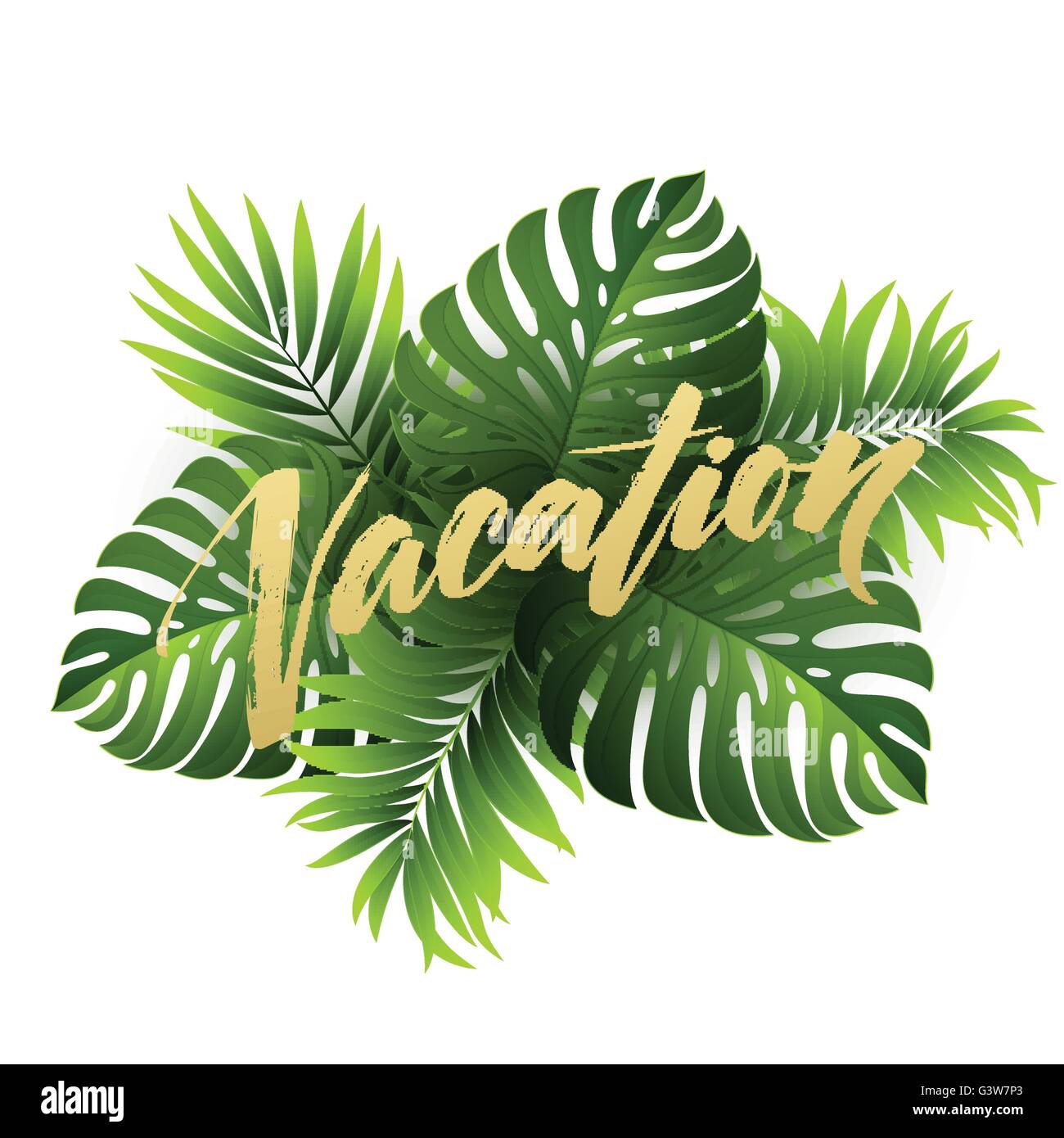 Summer vacation handwriting. Typography, lettering and calligraphy ...