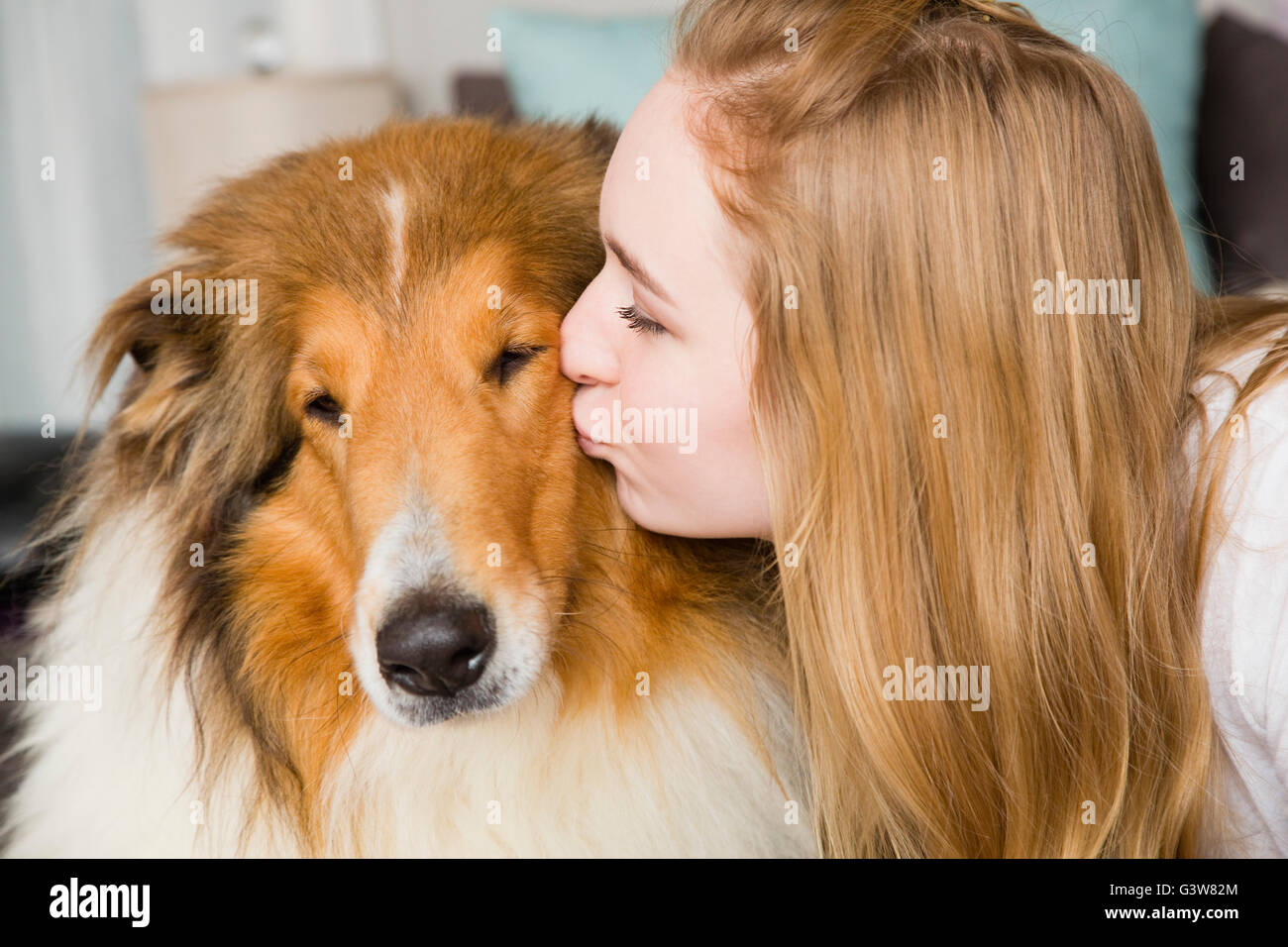 Teenage girl (14-15) kissing collie dog Stock Photo - Alamy
