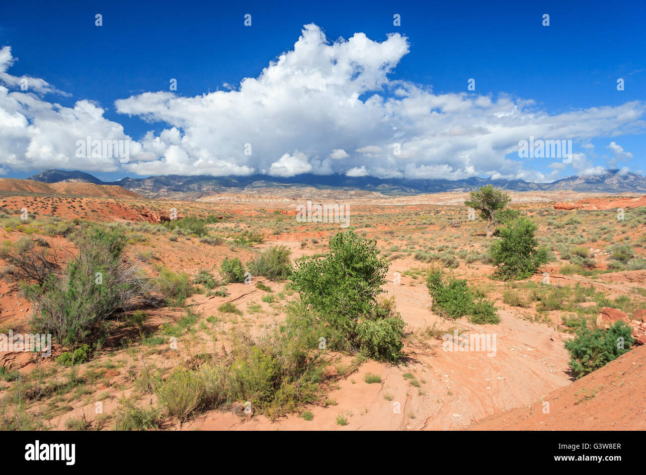 Desert view of central Utah Stock Photo - Alamy