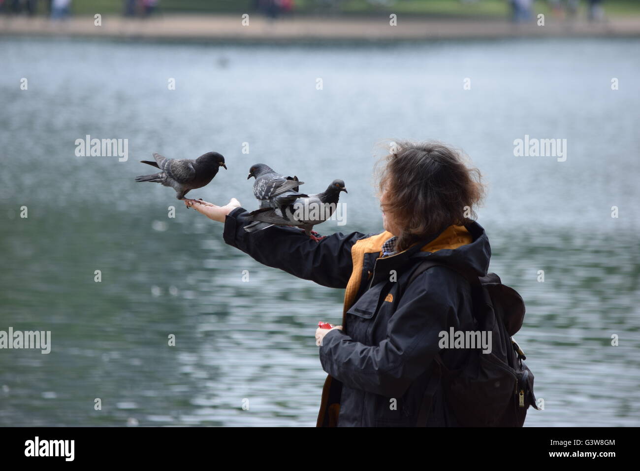 Smiling birds hi-res stock photography and images - Alamy