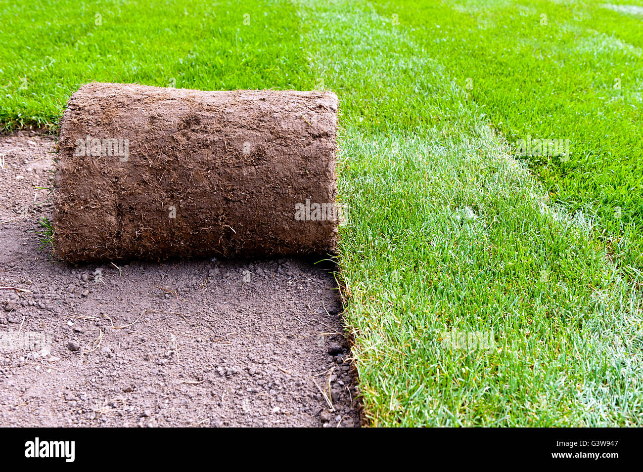 making new lawn using roll grass Stock Photo - Alamy