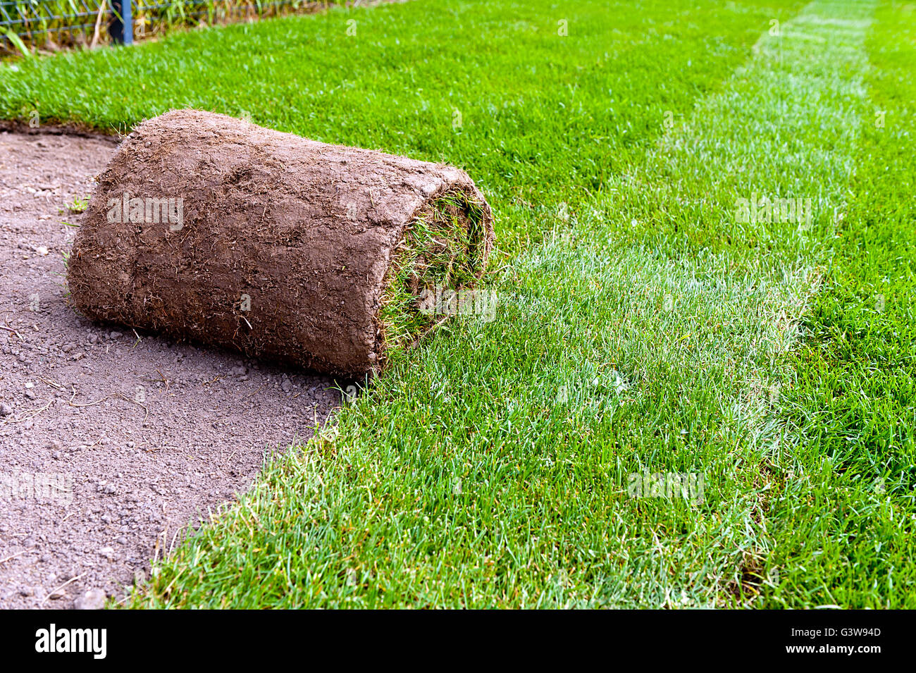 Unrolling a new grass roll Stock Photo - Alamy