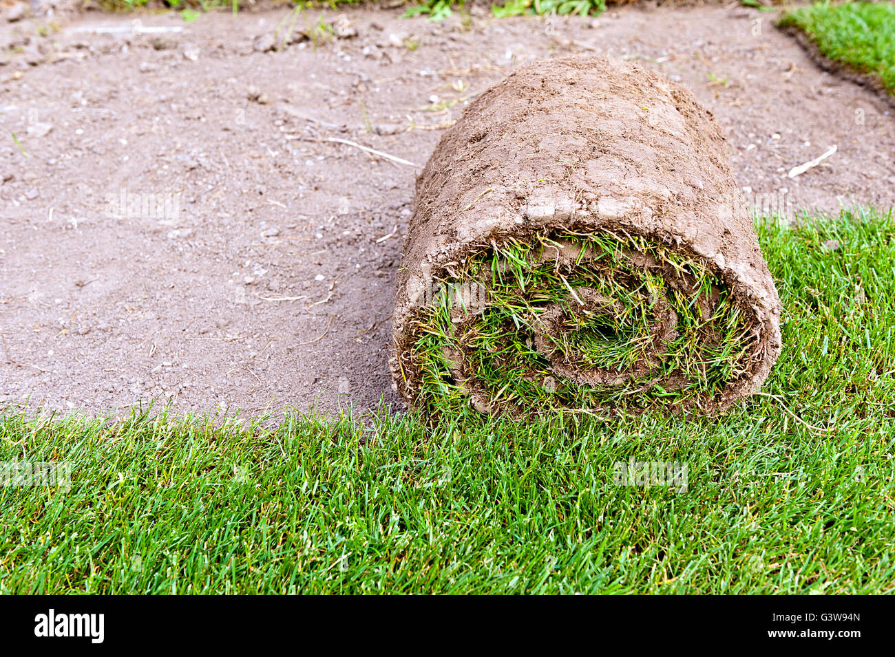 making new turf at yard Stock Photo - Alamy