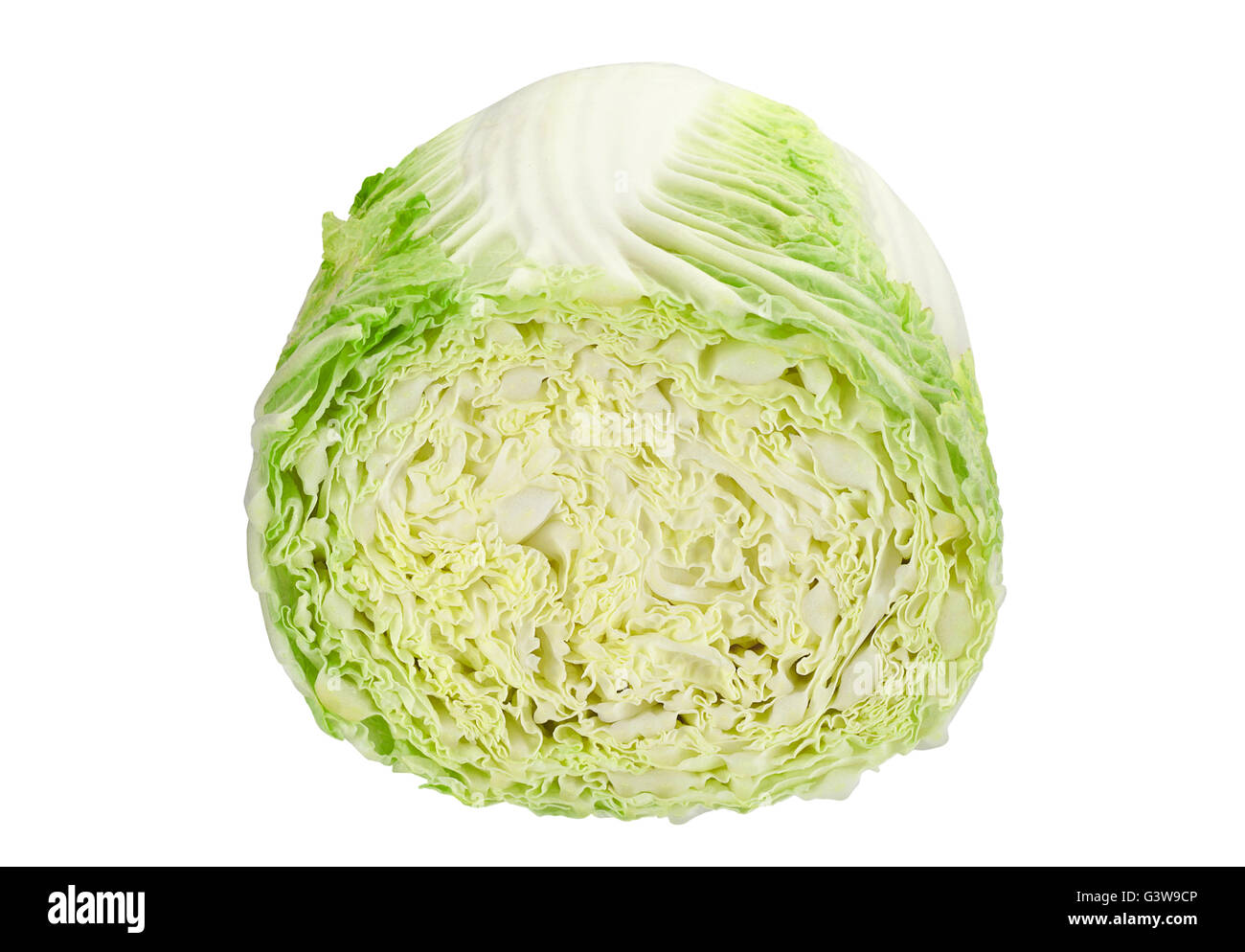 Chinese cabbage vegetable isolated on white background Stock Photo - Alamy