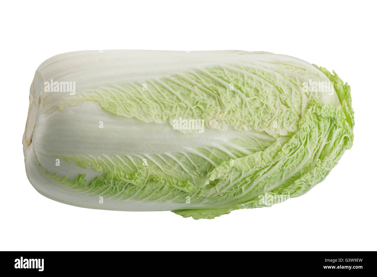 Chinese cabbage vegetable isolated on white background Stock Photo - Alamy