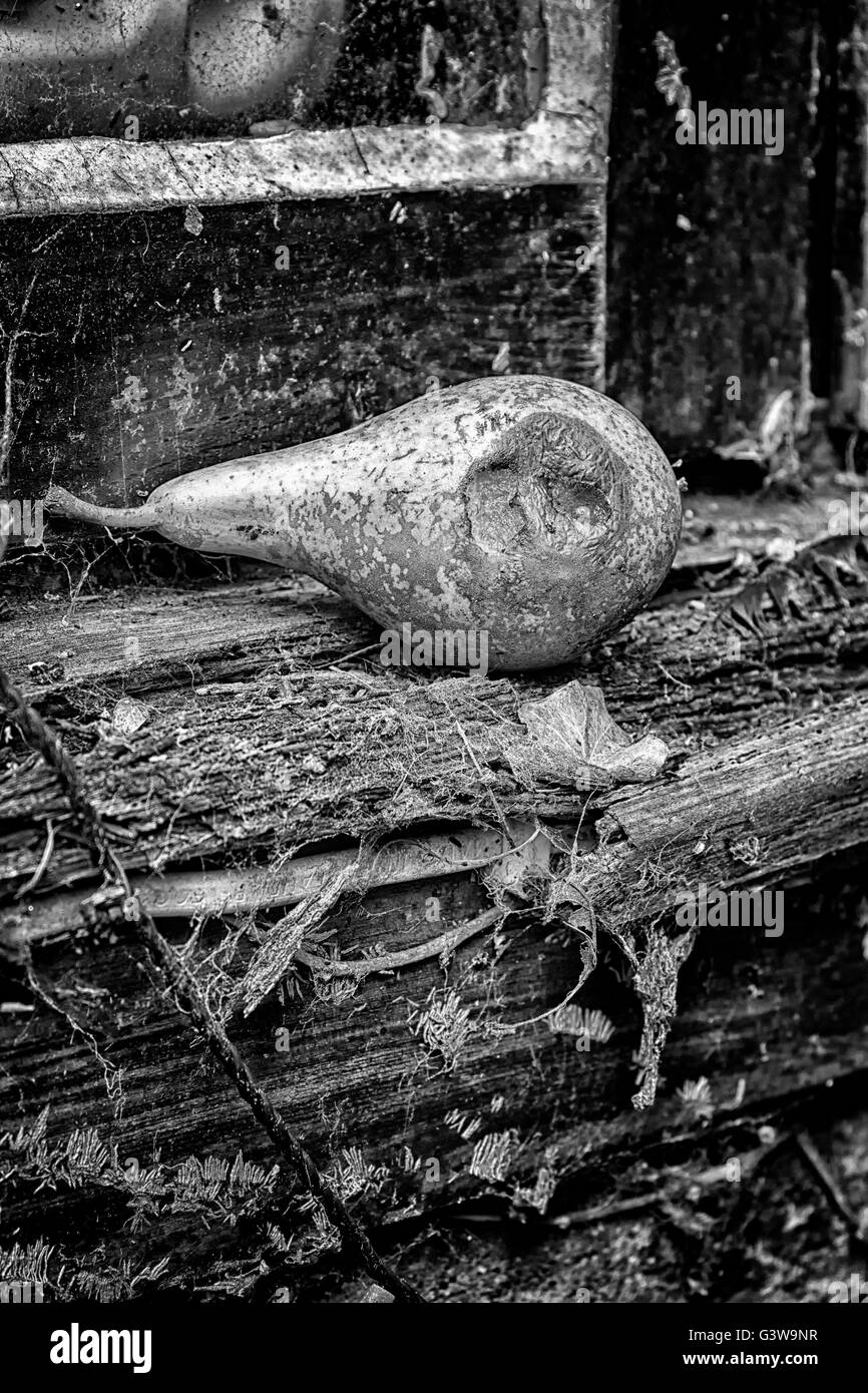 Rotten pear hi-res stock photography and images - Alamy