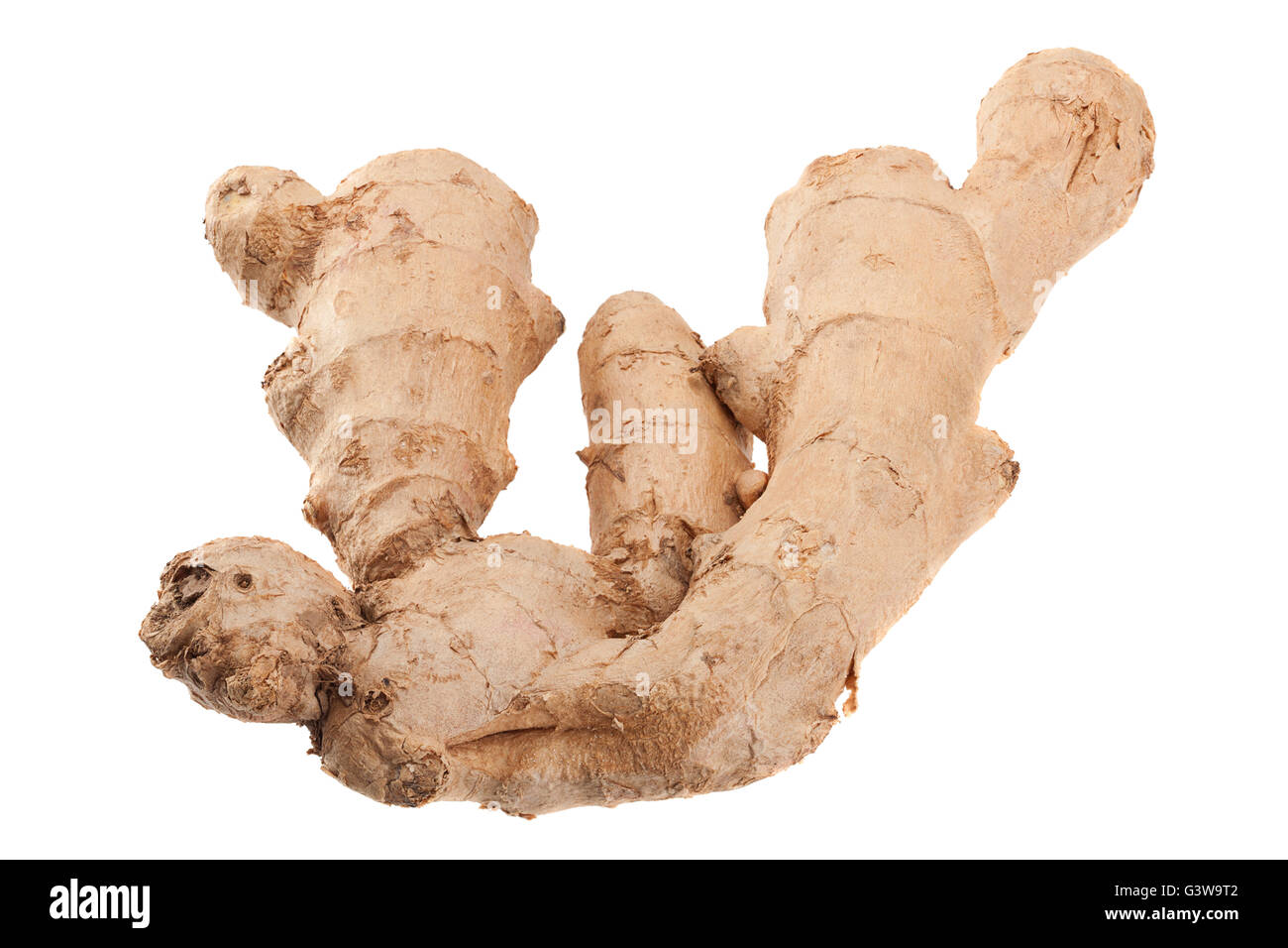 Ginger spice root isolated on white background Stock Photo - Alamy
