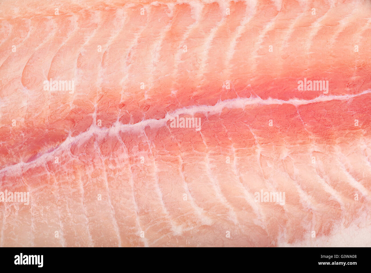 Closeup catfish fillet slice closeup background Stock Photo - Alamy