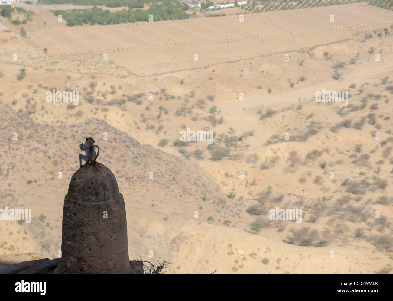 Watching at view hi-res stock photography and images - Alamy