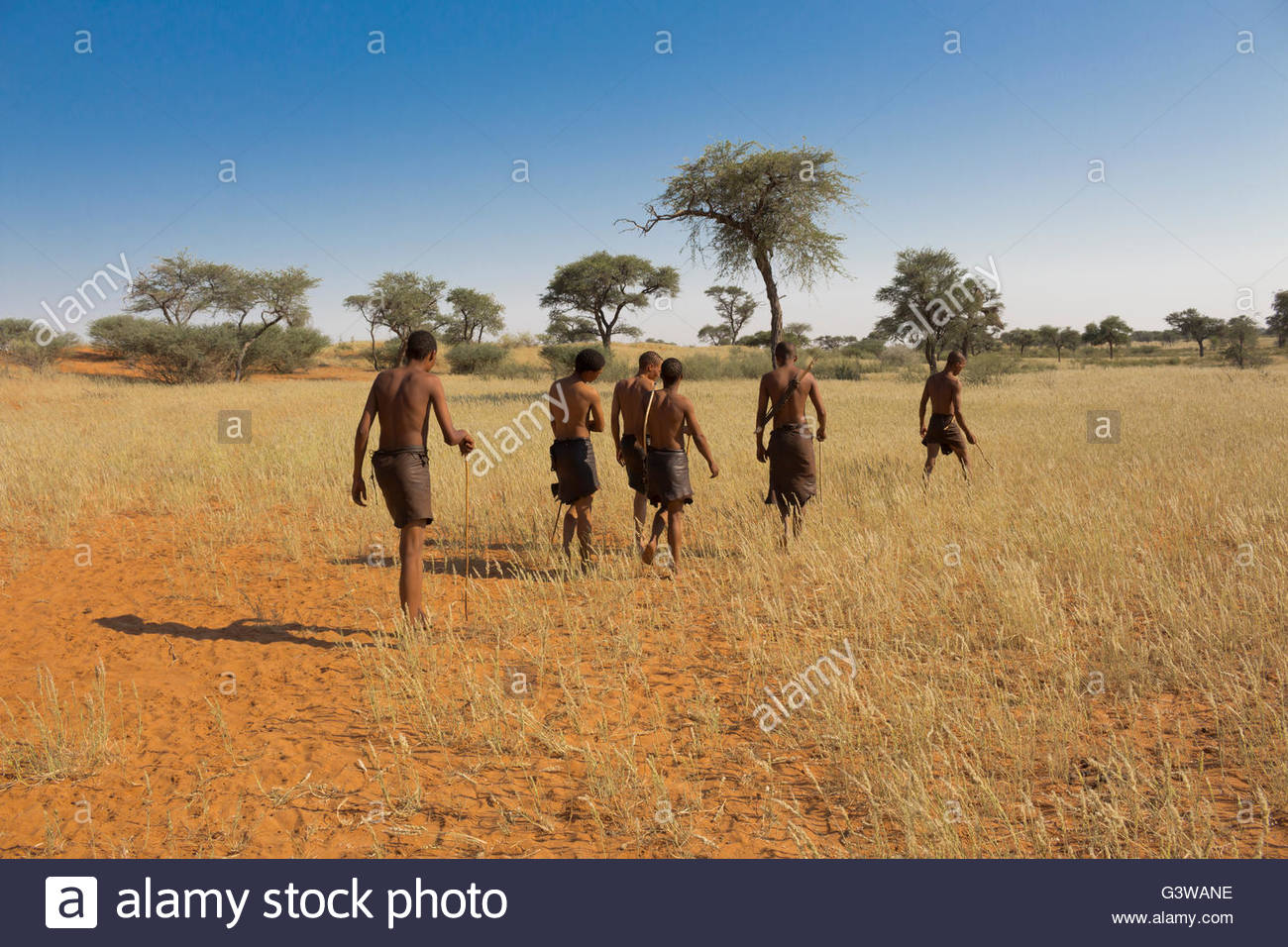 Bushmen Stock Photos & Bushmen Stock Images - Alamy