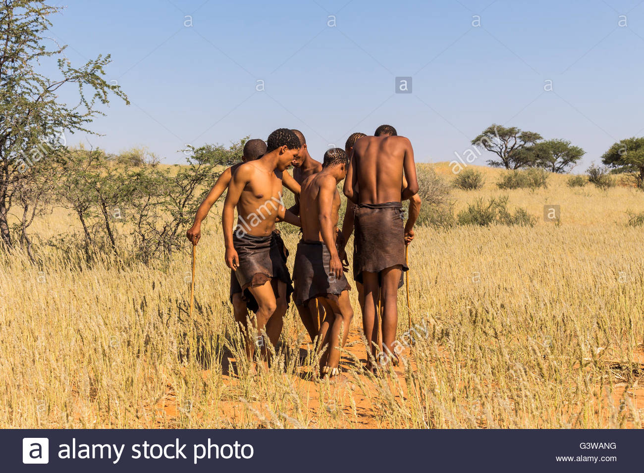 Bushmen High Resolution Stock Photography and Images - Alamy
