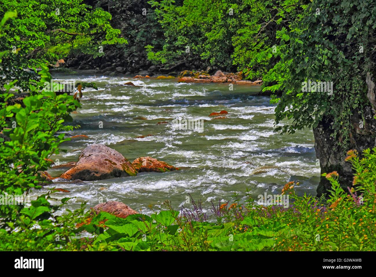 Valley of the mountain river Stock Photo - Alamy