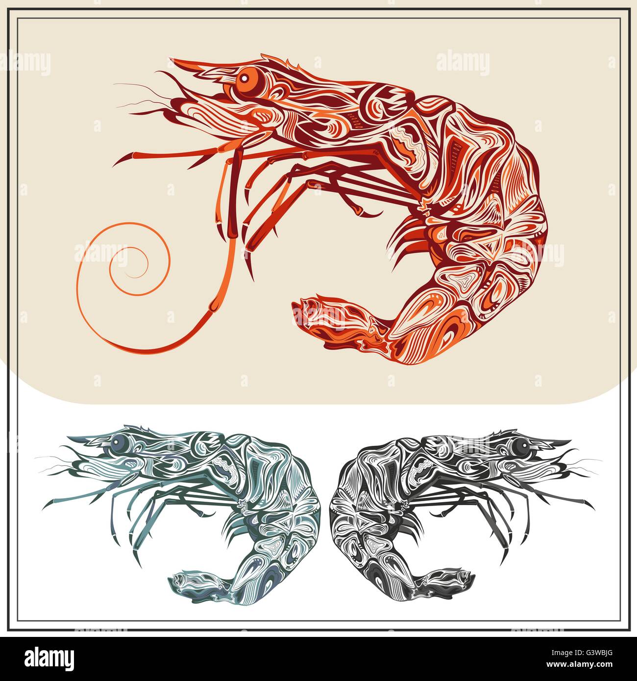 Shrimps illustration vintage Stock Vector Images - Alamy