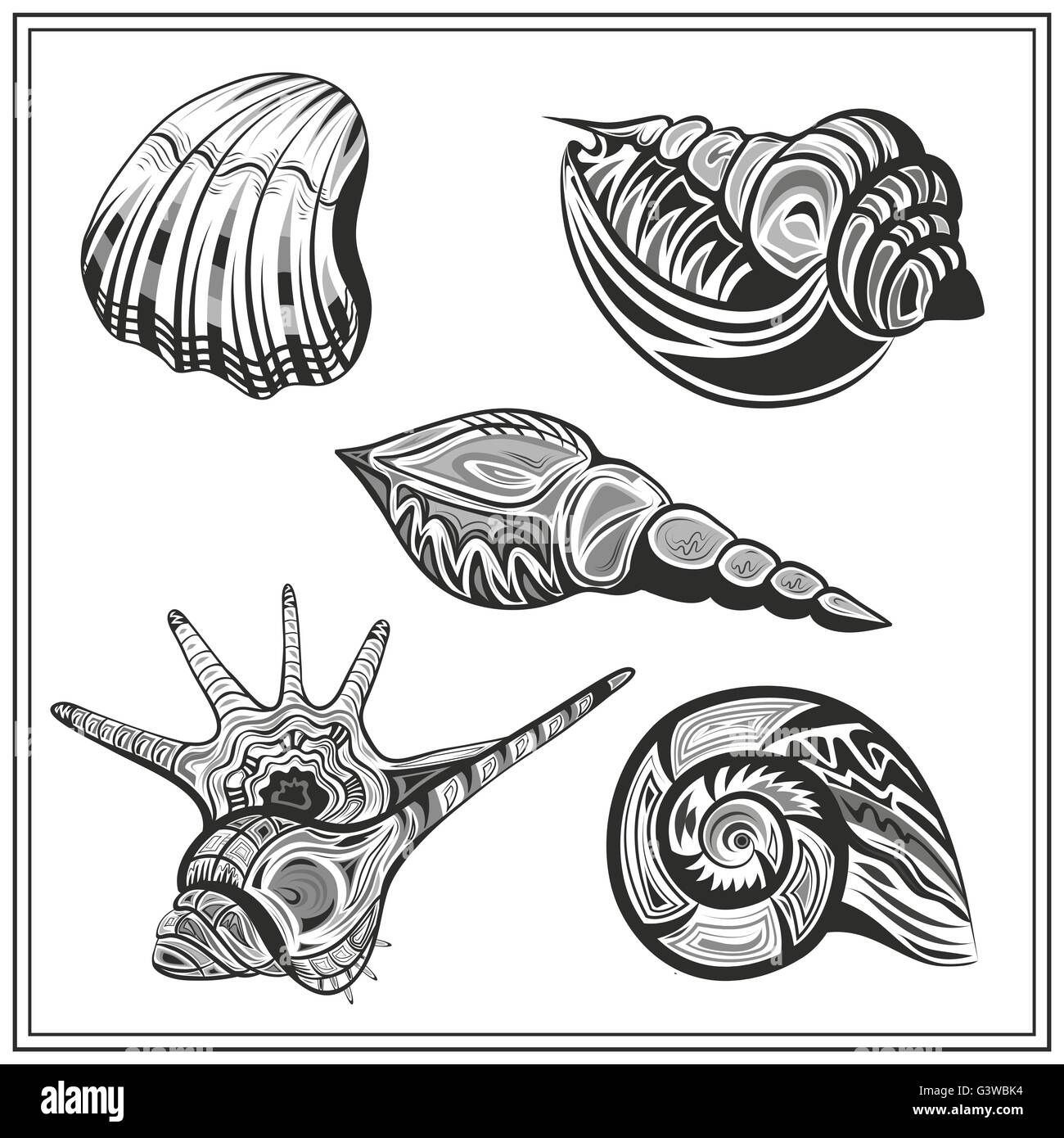 Sea shell craft Stock Vector Images - Alamy