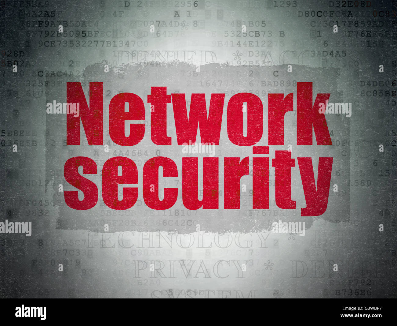 Privacy concept: Network Security on Digital Data Paper background ...