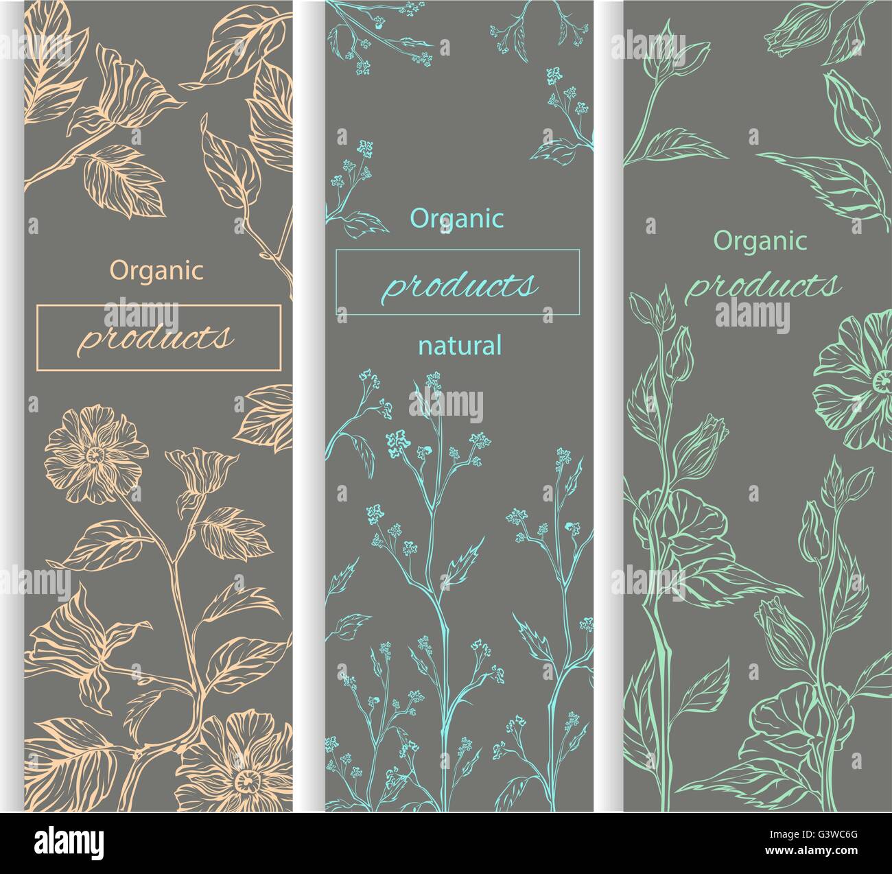Floral, botanical decorative banner Stock Vector Image & Art - Alamy