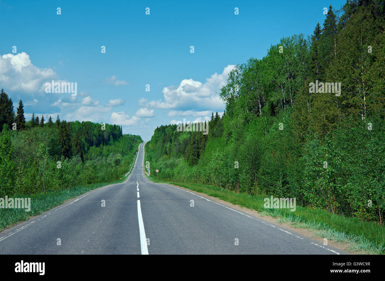 Russian forest hi-res stock photography and images - Alamy