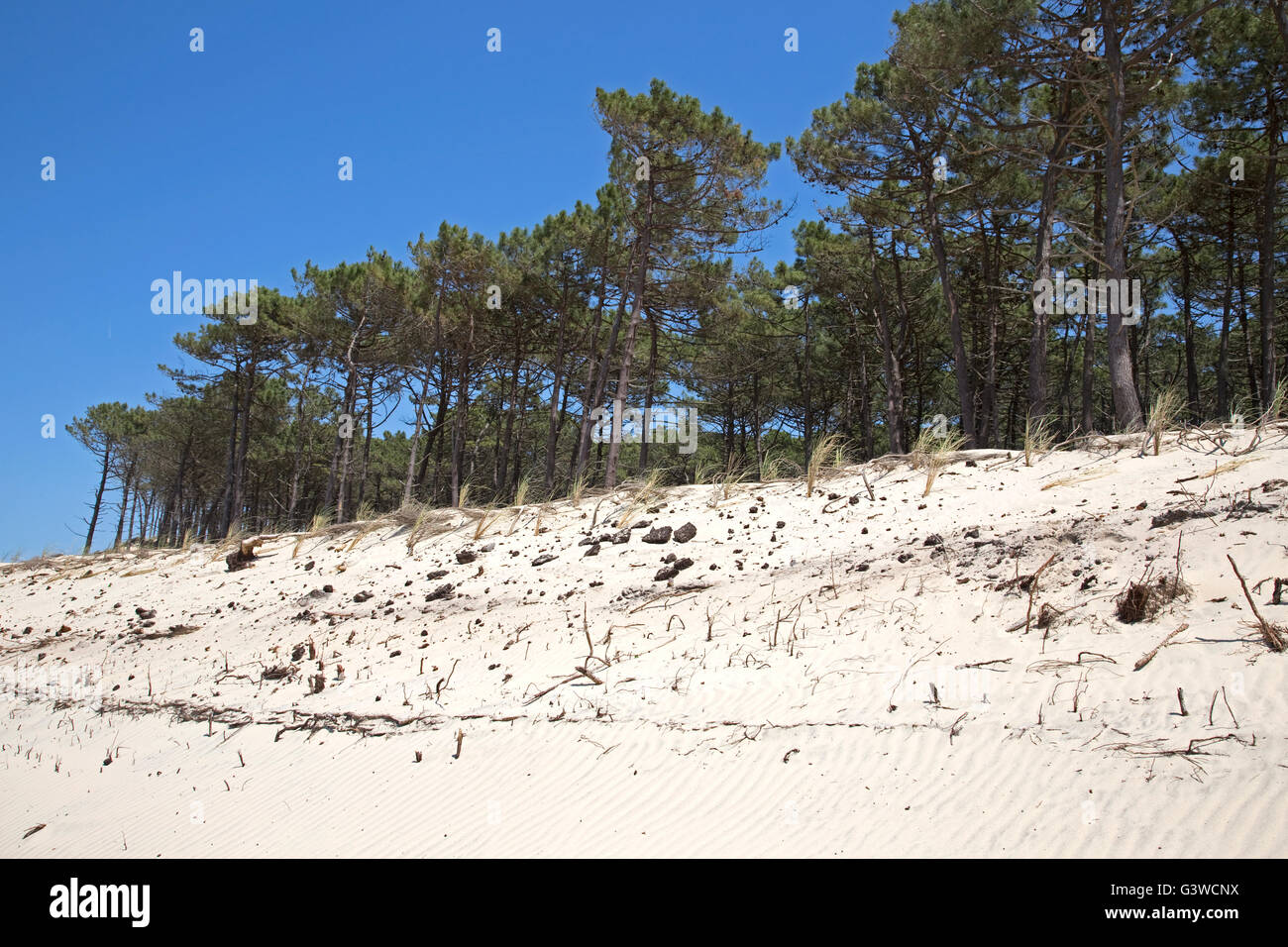 Grassridge hi-res stock photography and images - Alamy