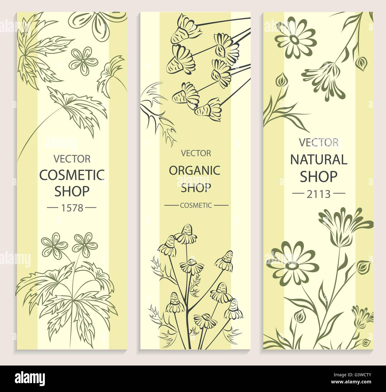 Floral, decorative, botanical banner Stock Vector Image & Art - Alamy