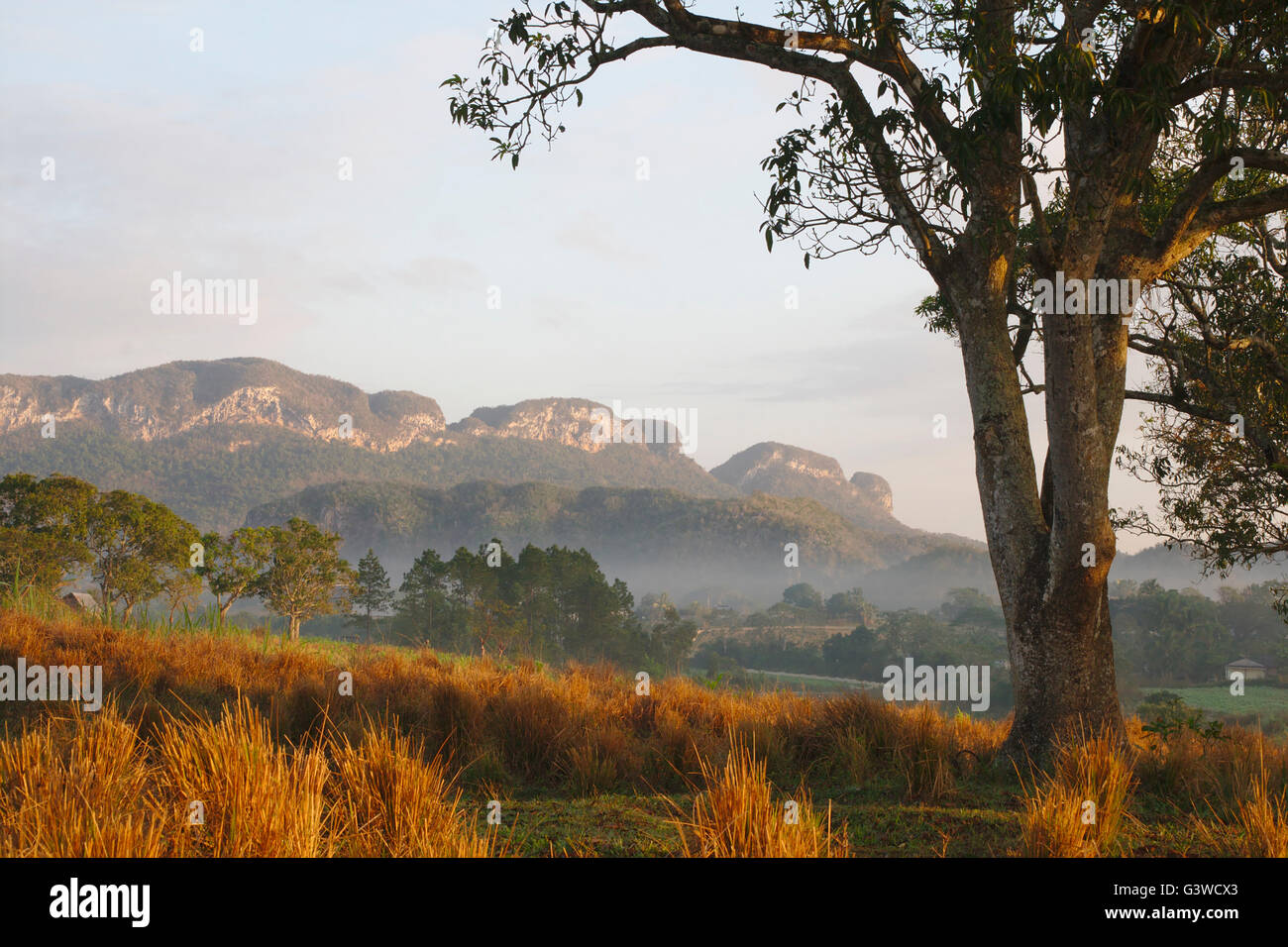 Cone karst hi-res stock photography and images - Alamy