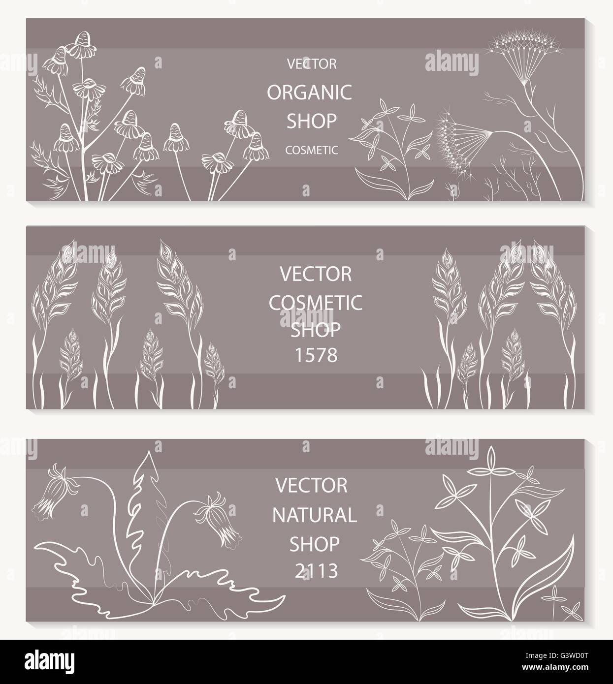 Floral, botanical decorative banner Stock Vector Image & Art - Alamy