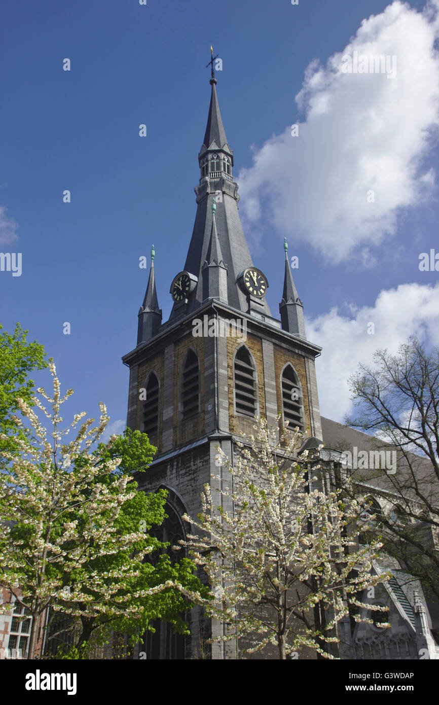 Liege cathedral hi-res stock photography and images - Alamy