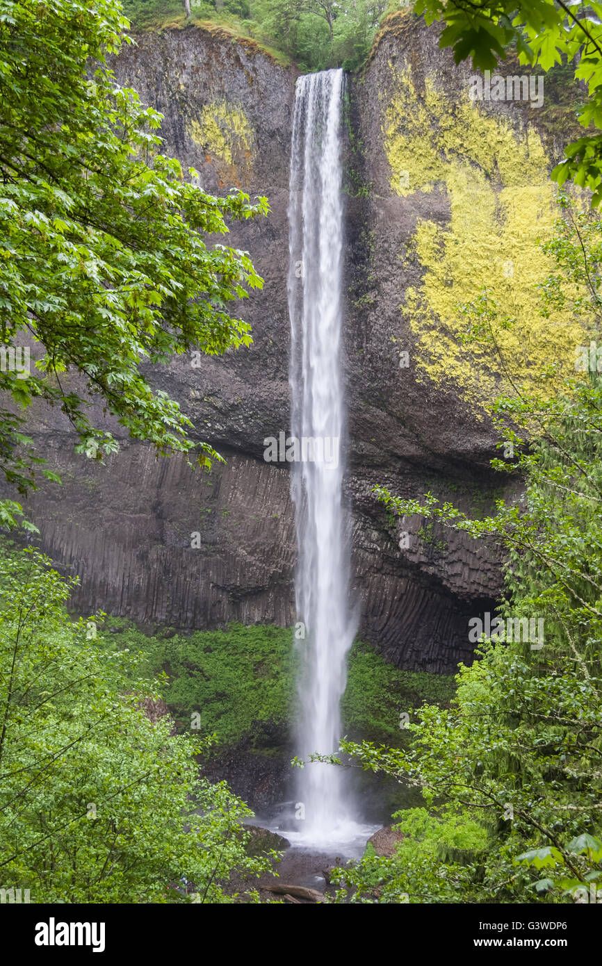 Latourell Falls, Oregon, USA Stock Photo - Alamy