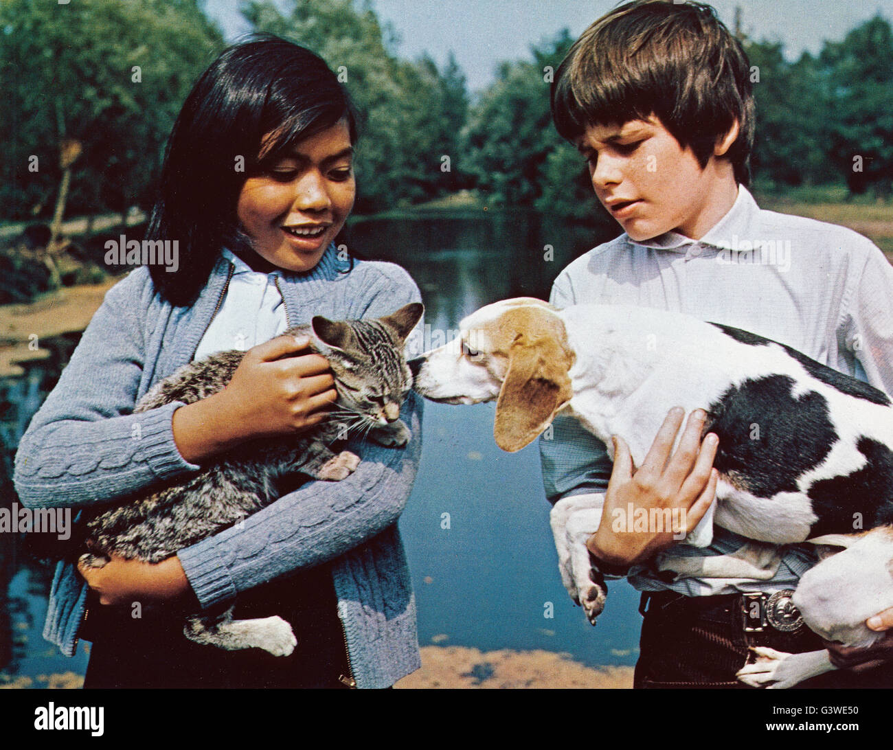 The Little Ark, aka: Wenn die Deiche brechen, USA 1972, Regie: James B ...