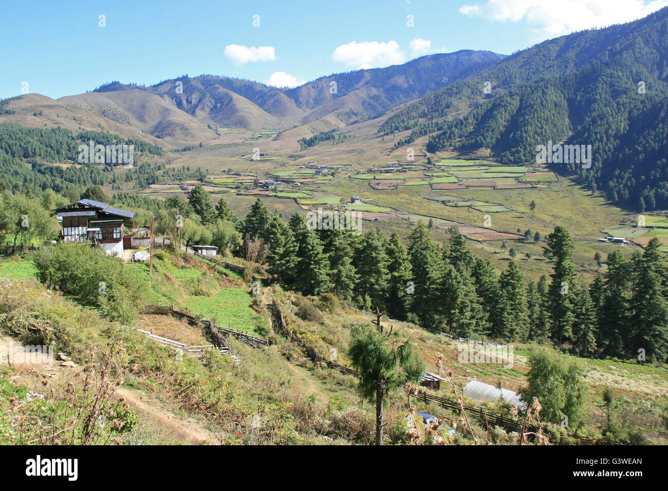 Countryside around Gangtey (Bhutan Stock Photo - Alamy