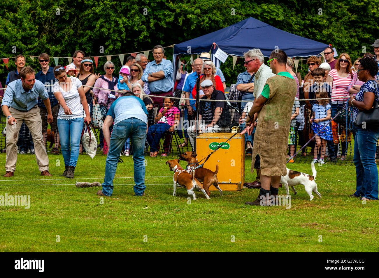 Surrey summer fairs hi-res stock photography and images - Alamy