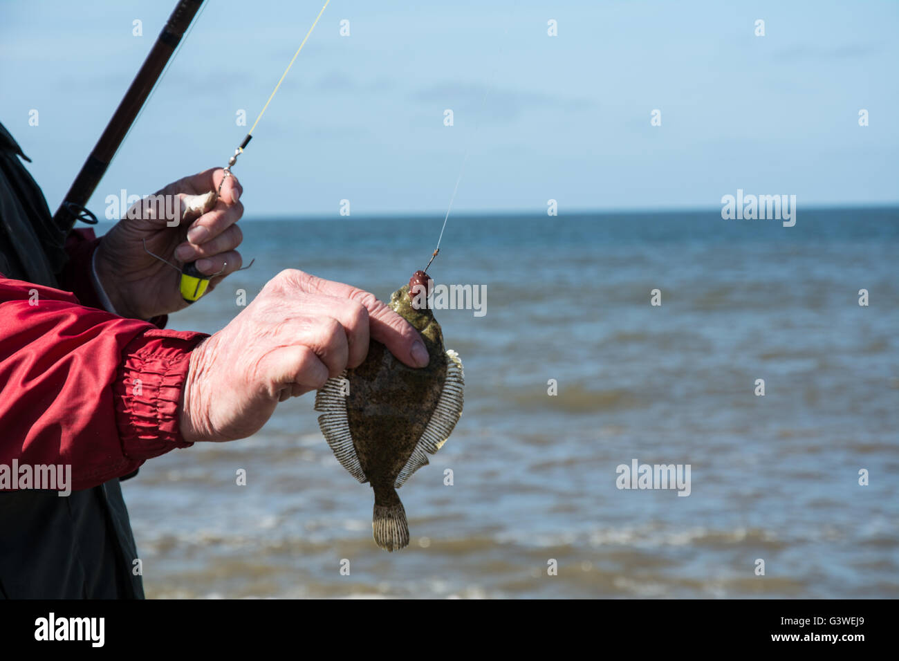 Sea Bass Fishing Norfolk at Amelia Woodhouse blog