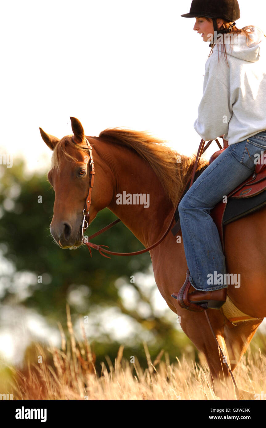 Professional woman riding western style on american quarter horse out ...