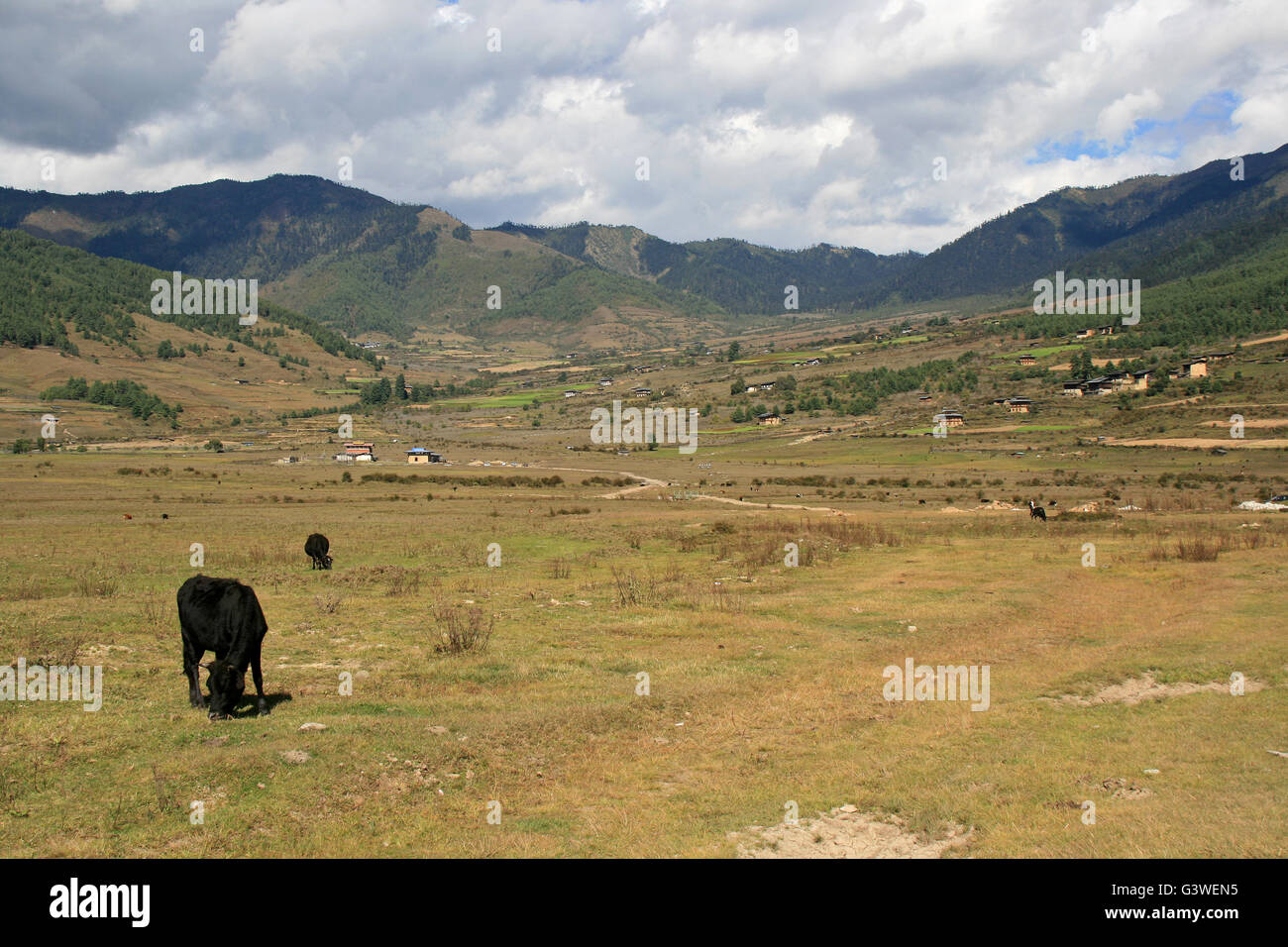 Countryside around Gangtey (Bhutan Stock Photo - Alamy