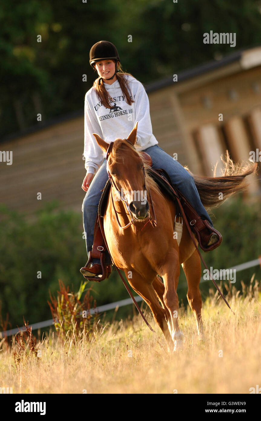 Professional woman riding western style on american quarter horse out ...