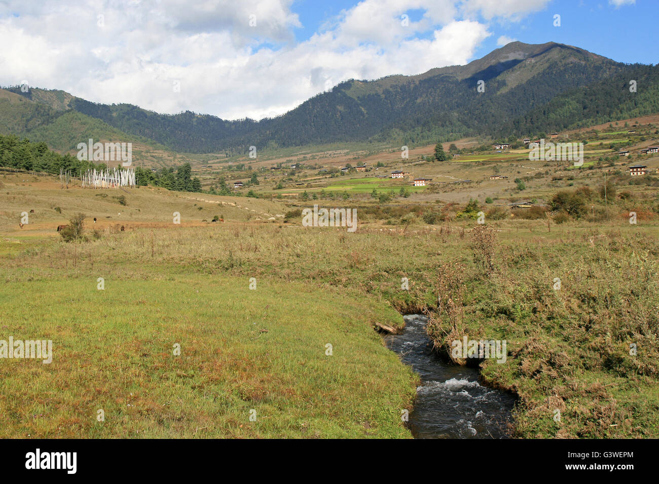 Phobjika valley hi-res stock photography and images - Alamy