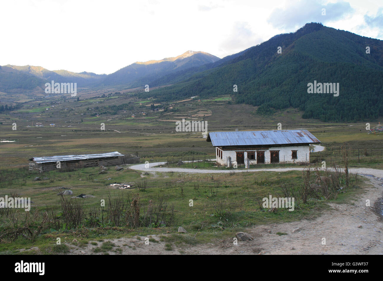 Countryside around Gangtey (Bhutan Stock Photo - Alamy