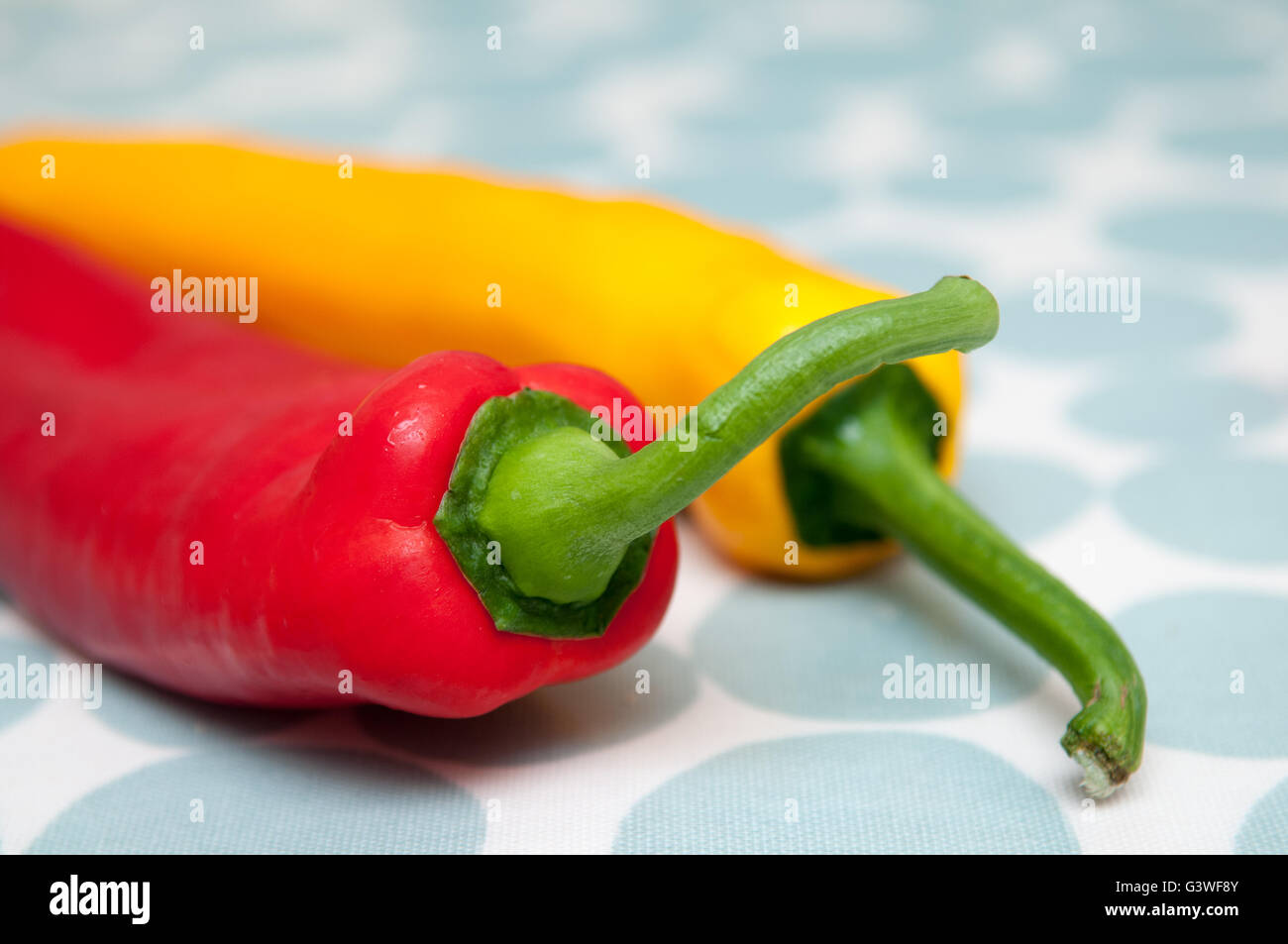Two peppers on a bright patterned background Stock Photo - Alamy