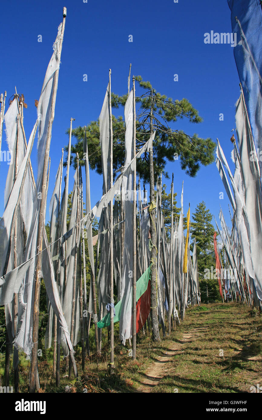 Buddhist banners and prayer flags in the countryside (Bhutan Stock ...