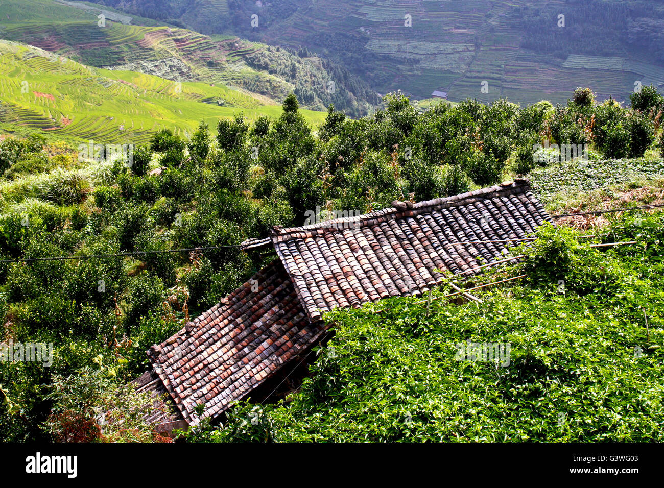 Food hut hi-res stock photography and images - Alamy