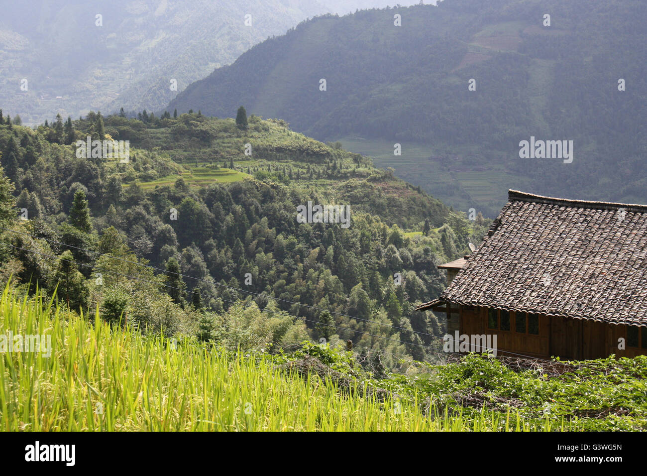 Rice terraces mountains China agriculture food hut Stock Photo - Alamy