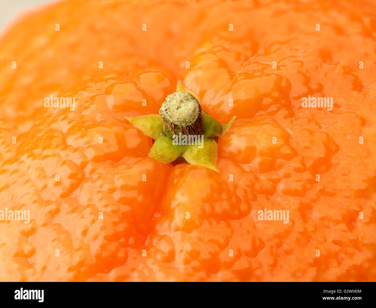 Ora background hi-res stock photography and images - Alamy