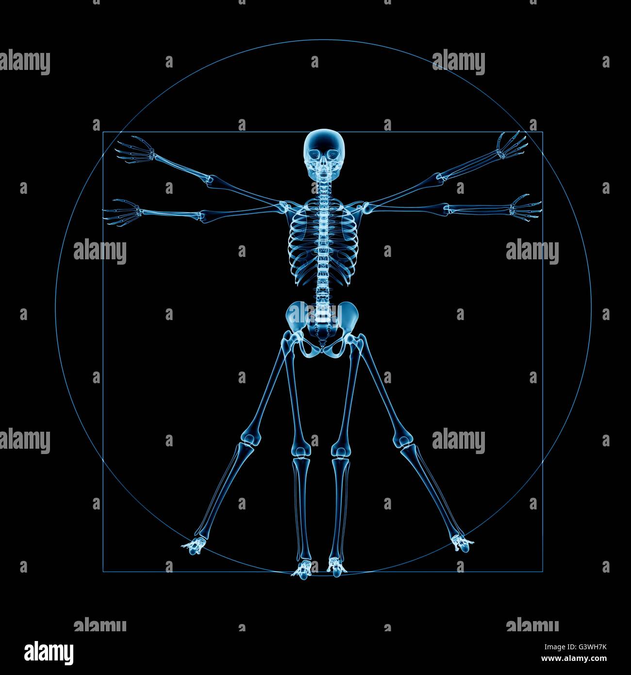 x-ray image of a man isolated on black Stock Photo - Alamy